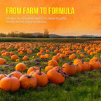 pumpkin seed oil for hair health