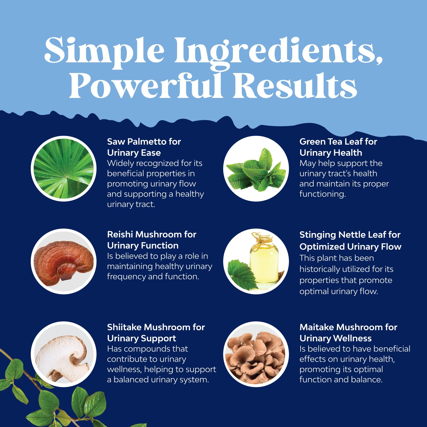 pumpkin seed oil with saw palmetto