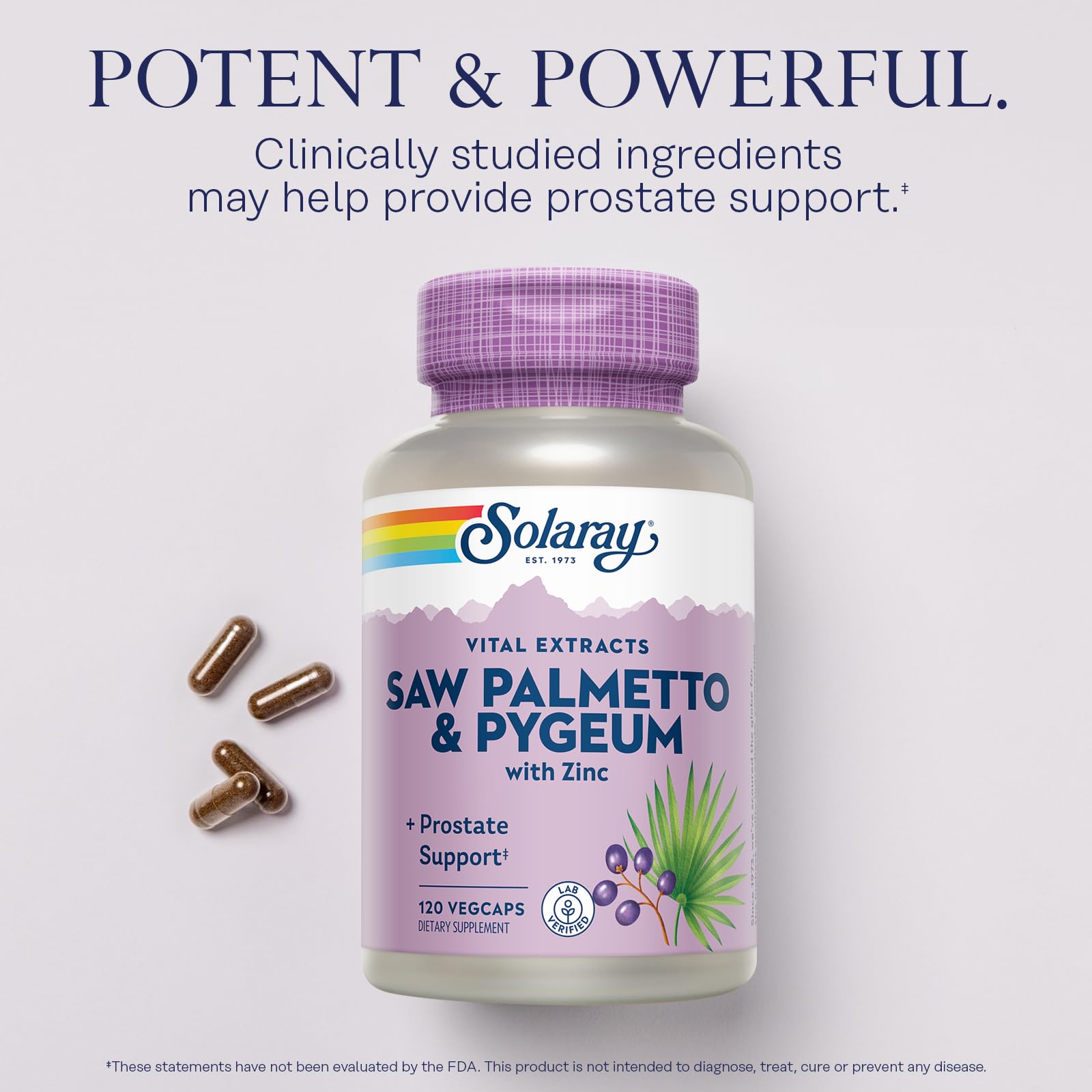 pumpkin seeds for prostate wellness