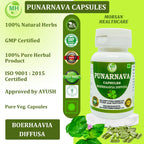 Punarnava for detox and rejuvenation