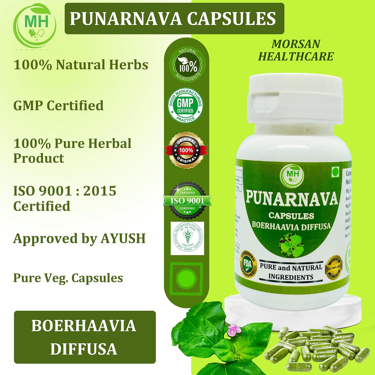Punarnava for detox and rejuvenation