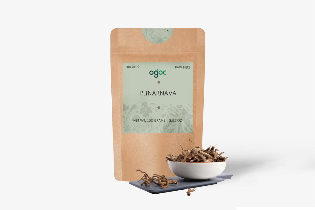 punarnava root herb for wellness