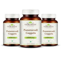 Punarnavadi Guggulu kidney health support