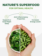 PURA VIDA moringa for active lifestyle