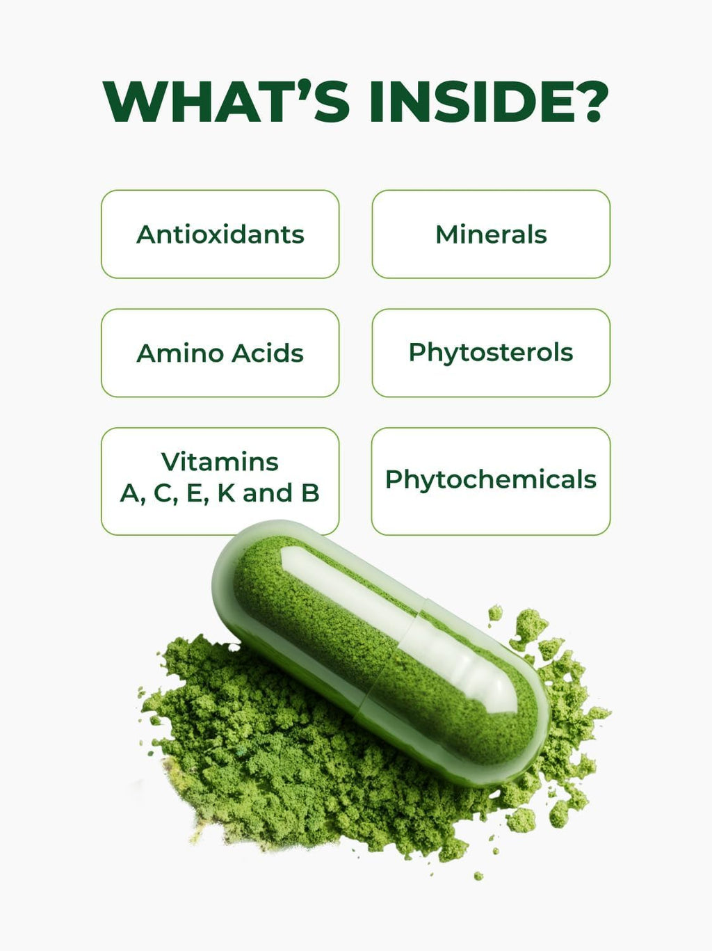 PURA VIDA organic moringa for detox