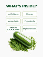 PURA VIDA organic moringa for detox