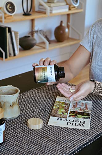 Purana Lion's Mane for brain function