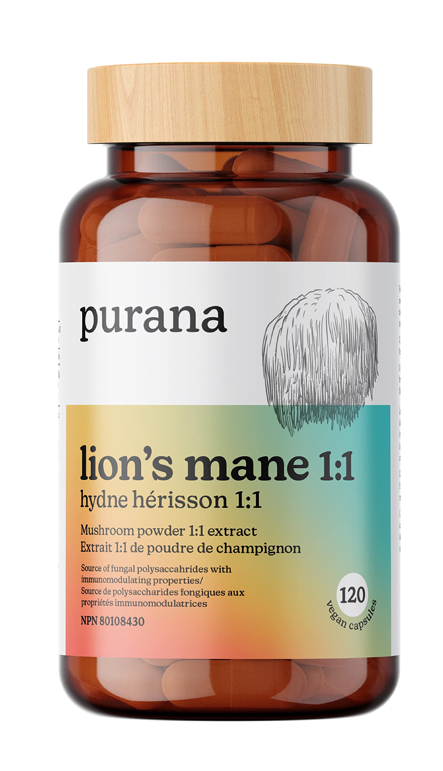 Purana Lion's Mane mushroom powder capsules