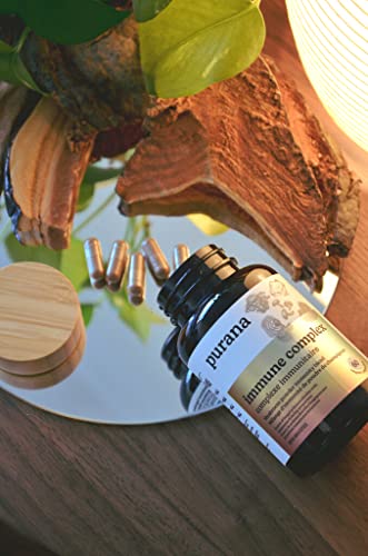 Purana mushrooms for enhanced wellbeing