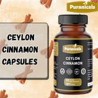 Puranicals 700 mg cinnamon supplement