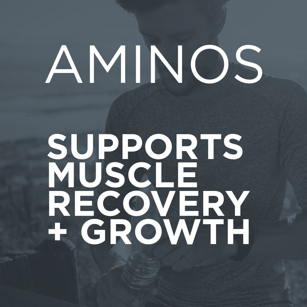 Purbolics Aminos 60 servings value pack
