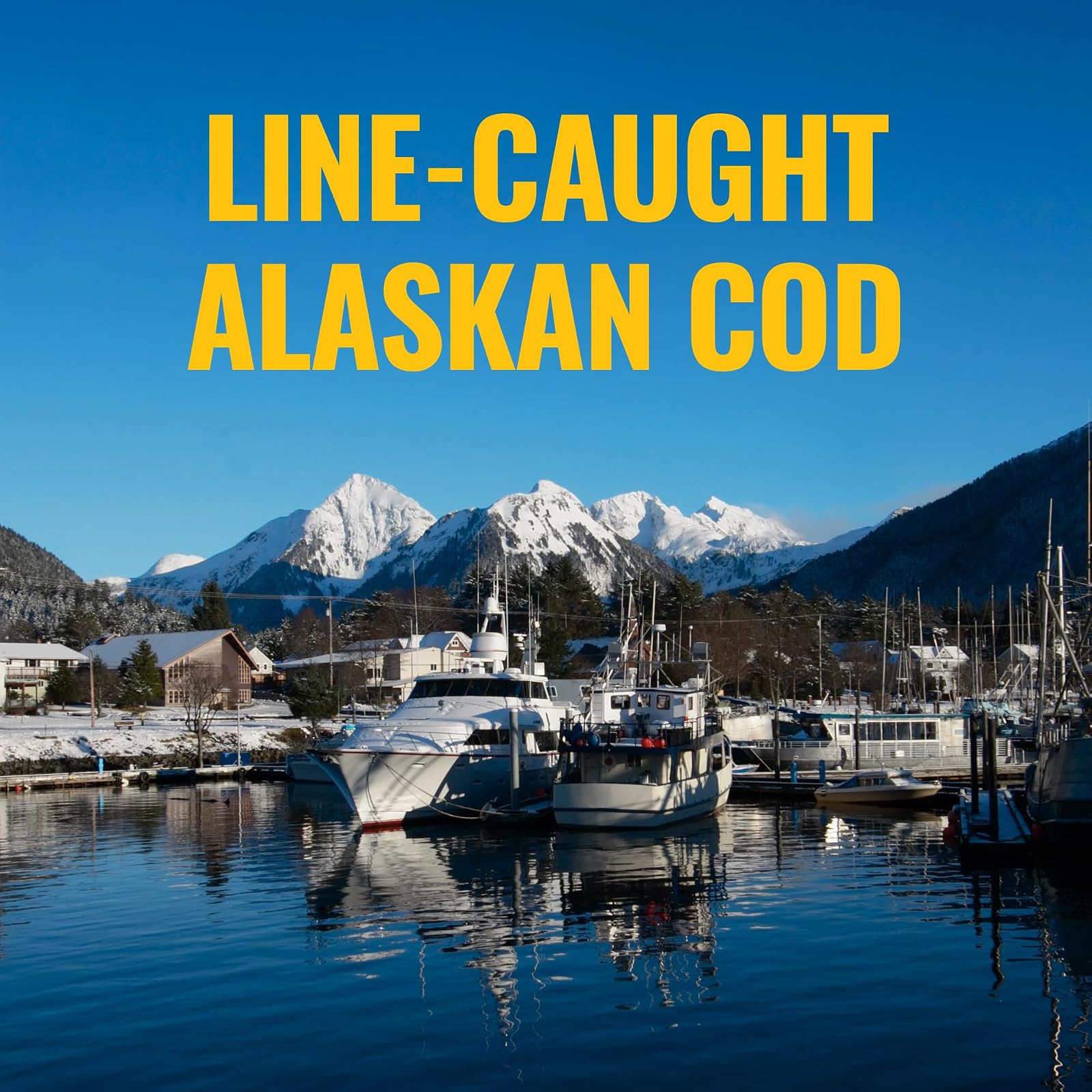 pure Alaskan cod liver oil liquid