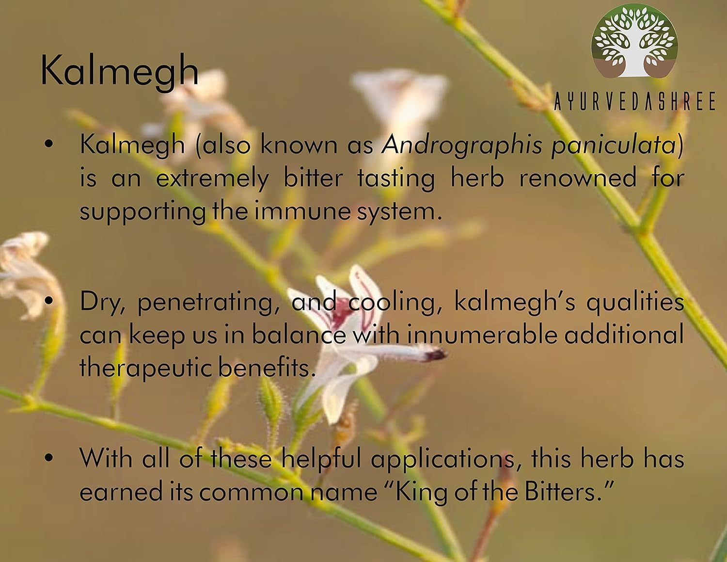 pure andrographis paniculata with no additives