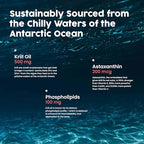 pure Antarctic krill oil capsules