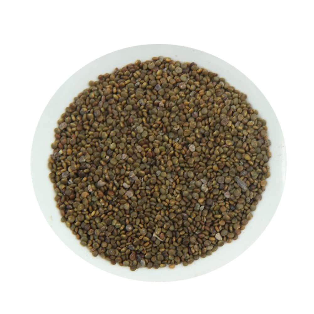 pure astragalus seed supplement
