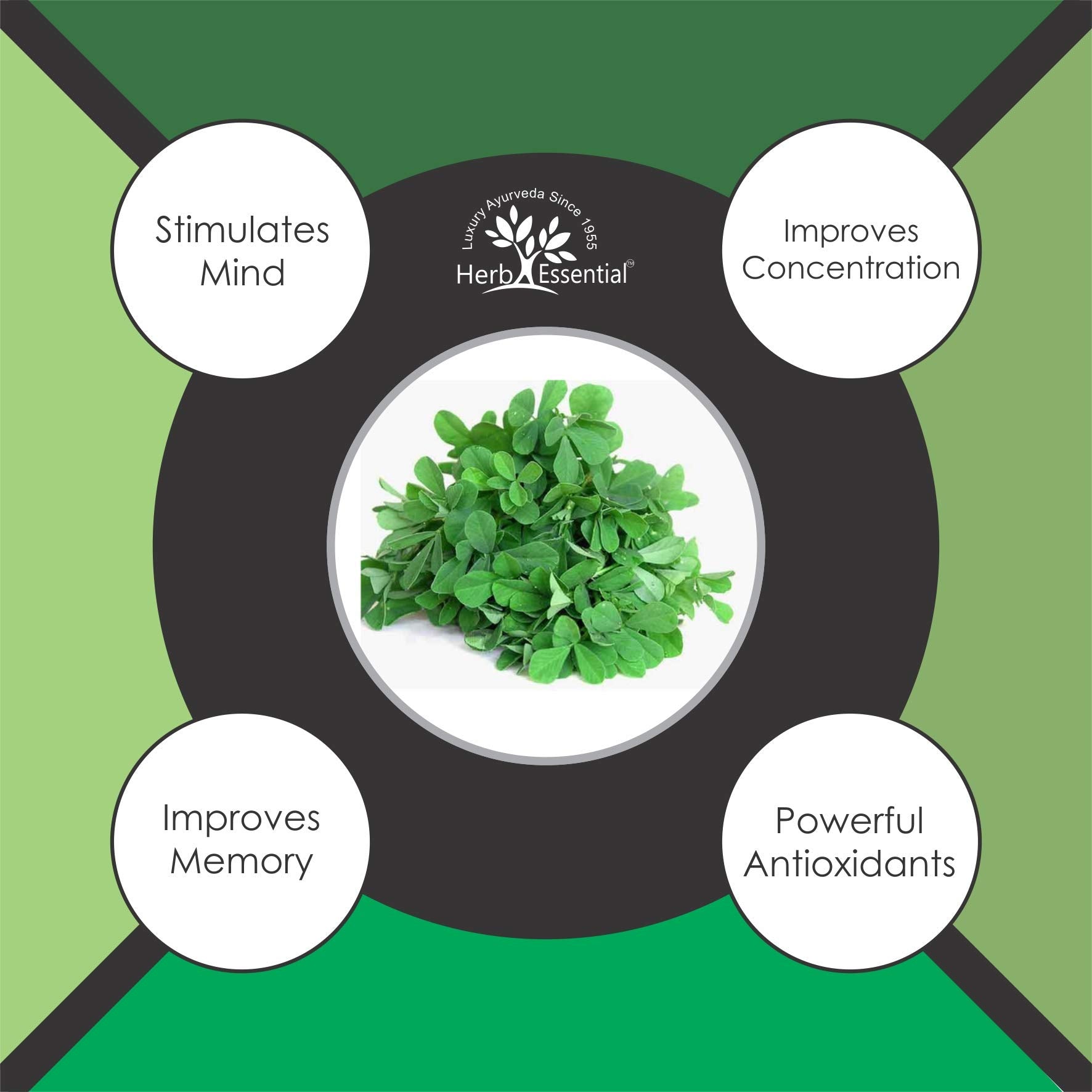 pure bacopa monnieri for vitality