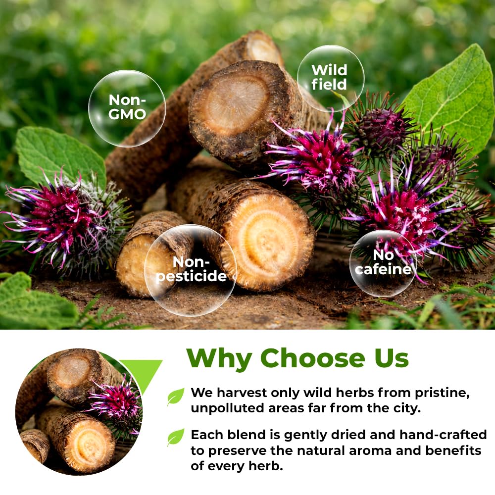 pure burdock root for health
