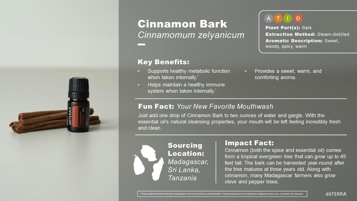 pure ceylon cinnamon oil for wellness