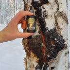 pure chaga extract for immune support