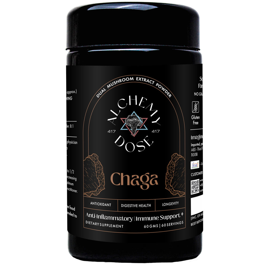 pure chaga mushroom extract powder