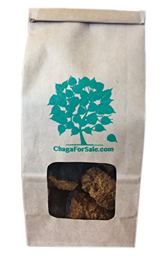 pure chaga mushroom tea benefits