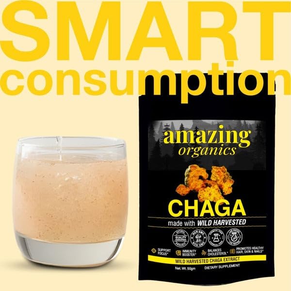 pure chaga powder for health