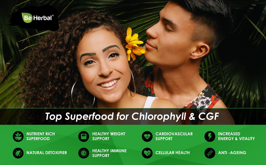 pure chlorella for immune support