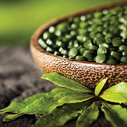 Pure chlorella for nutritional support