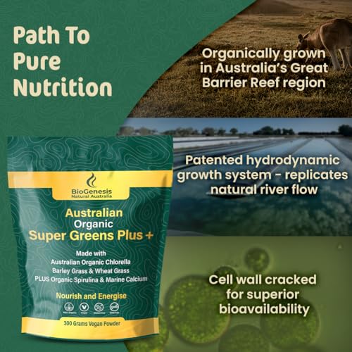 pure chlorella powder for smoothies
