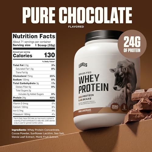pure chocolate whey protein for smoothies