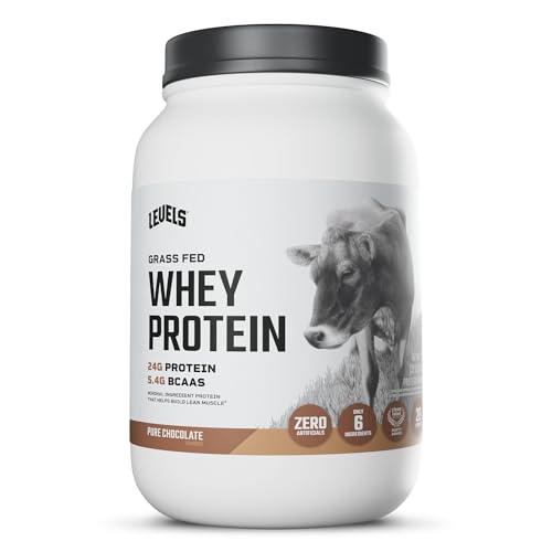pure chocolate whey protein powder