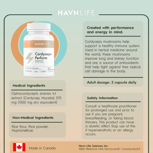 Pure Cordyceps mushrooms for wellness