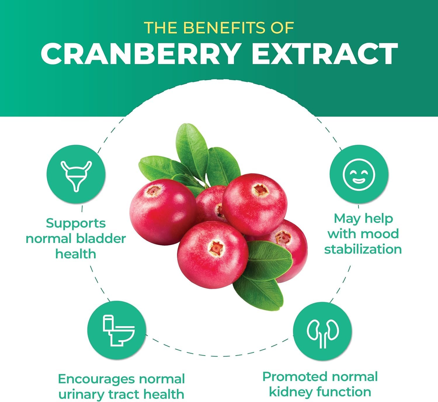 pure cranberry extract capsules