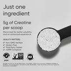 pure creatine for muscle growth
