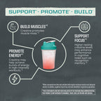 pure creatine for strength training