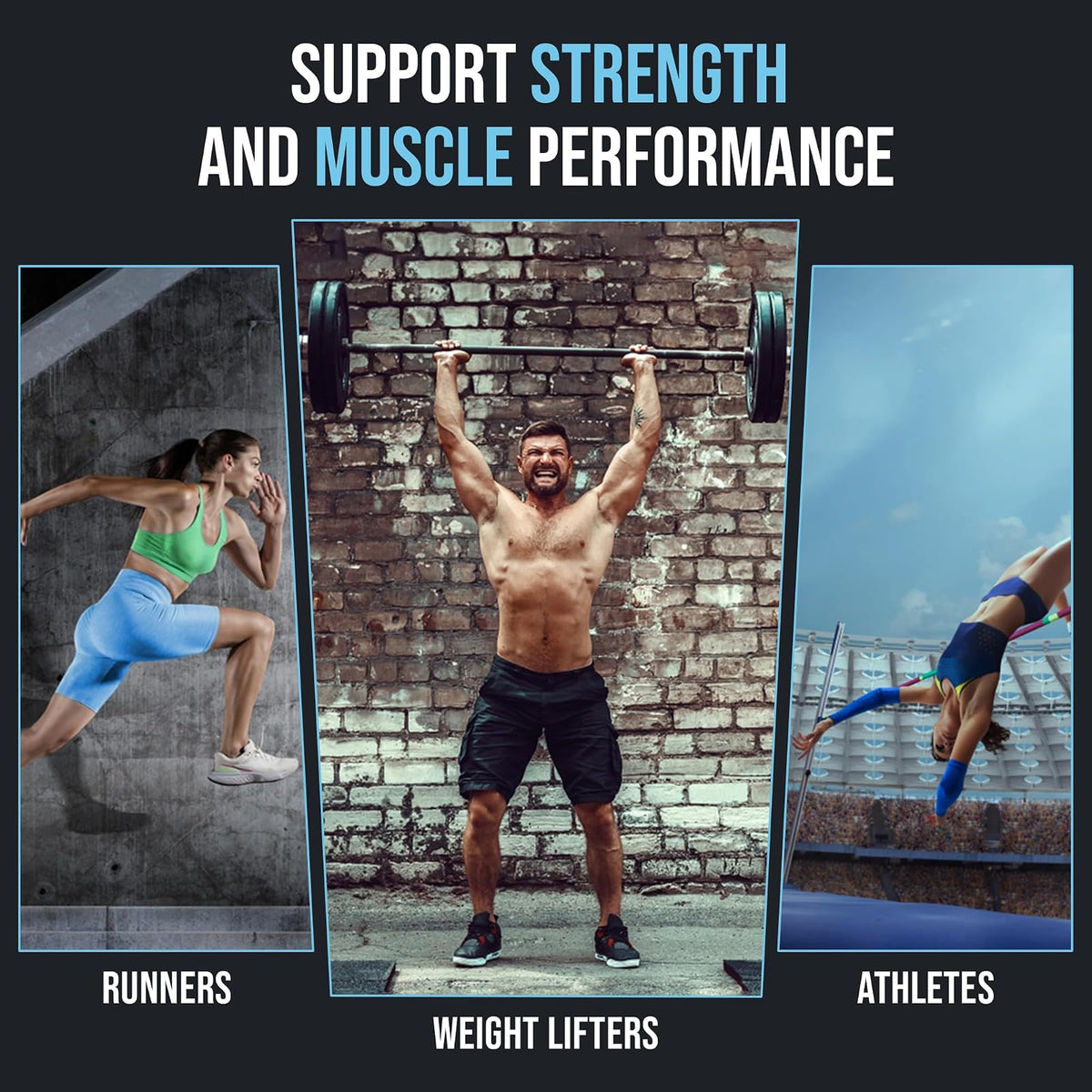 pure creatine monohydrate supplement