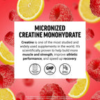 pure creatine monohydrate supplement