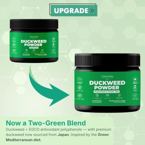 pure duckweed powder for smoothies