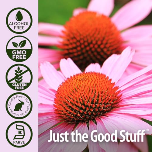 pure echinacea extract for immune strength