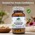 pure echinacea for everyday health