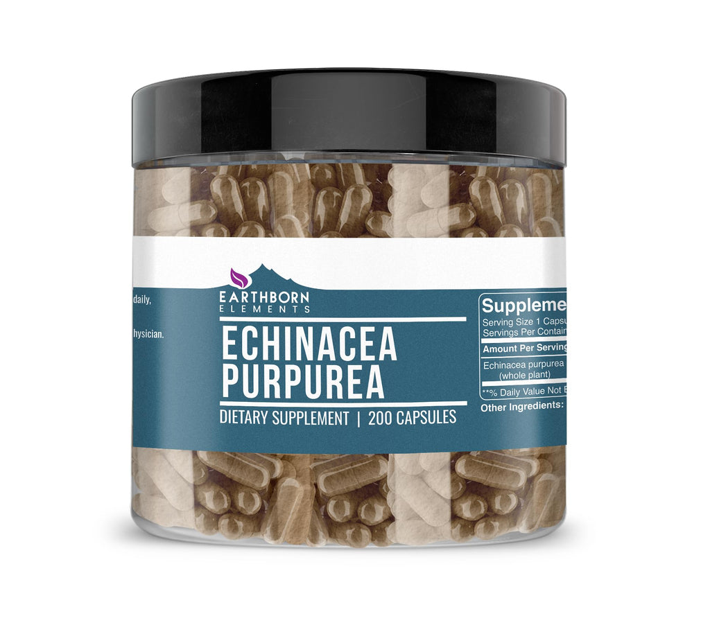 pure echinacea for immune support