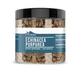 pure echinacea for immune support