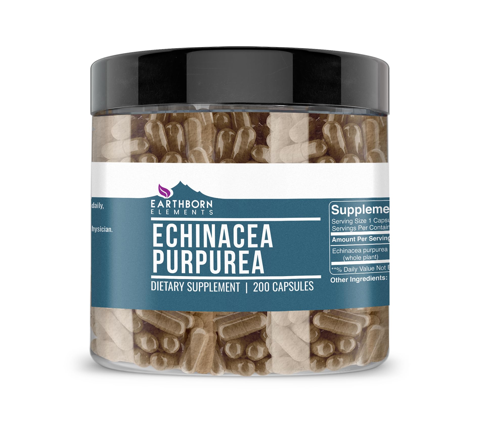 pure echinacea for immune support