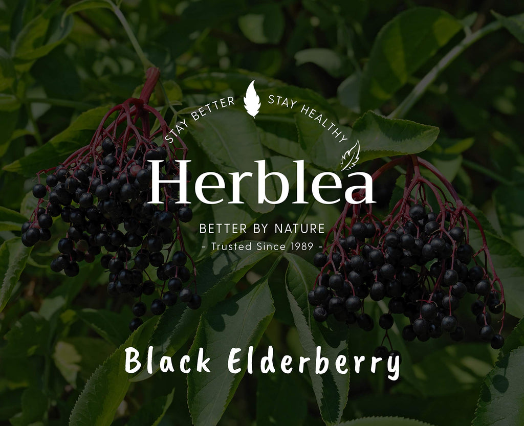 pure elderberry extract for holistic health