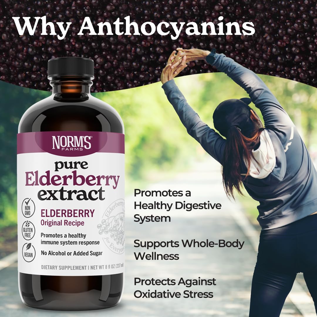 pure elderberry extract for natural remedies