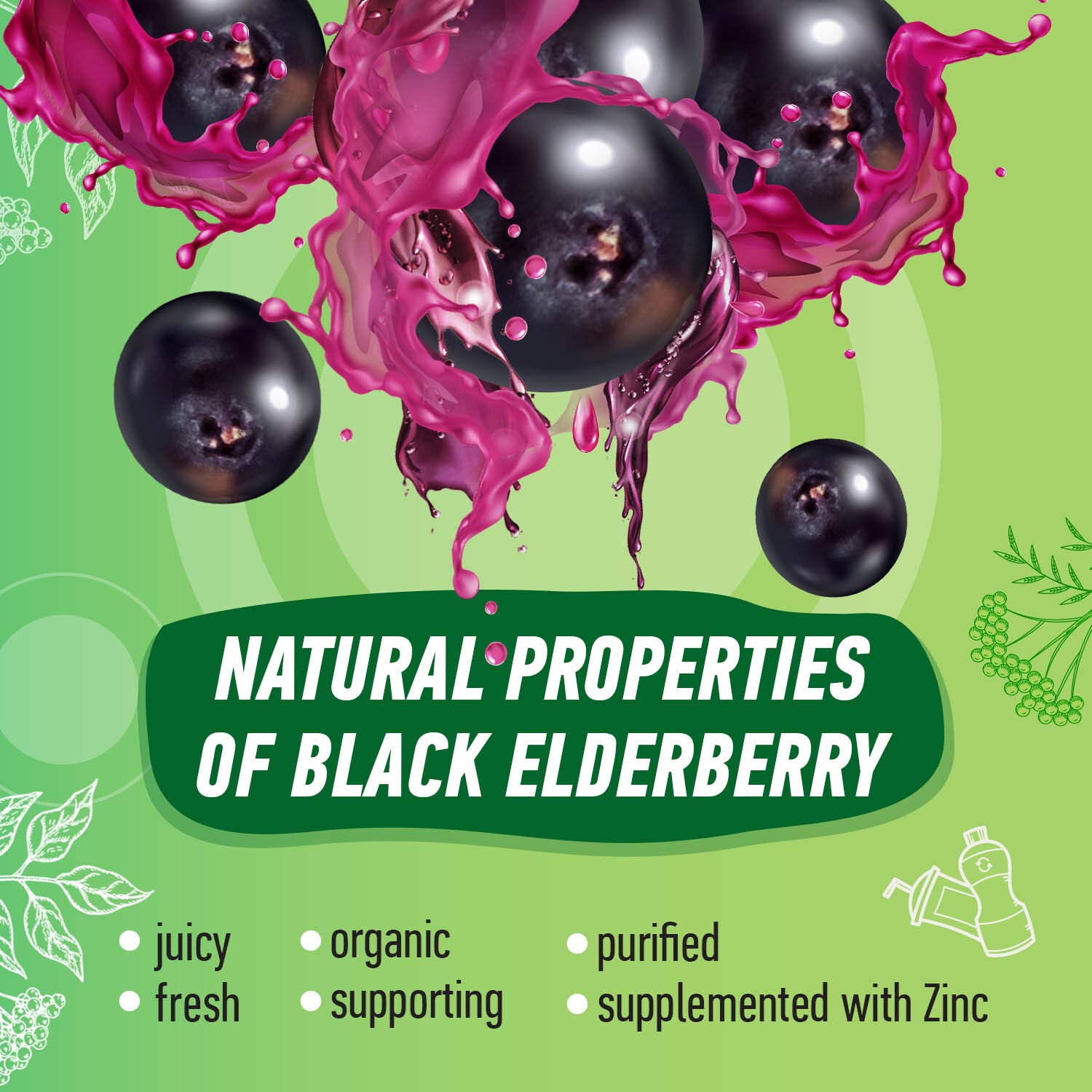 pure elderberry syrup for adults