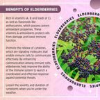 pure elderberry syrup for cold relief