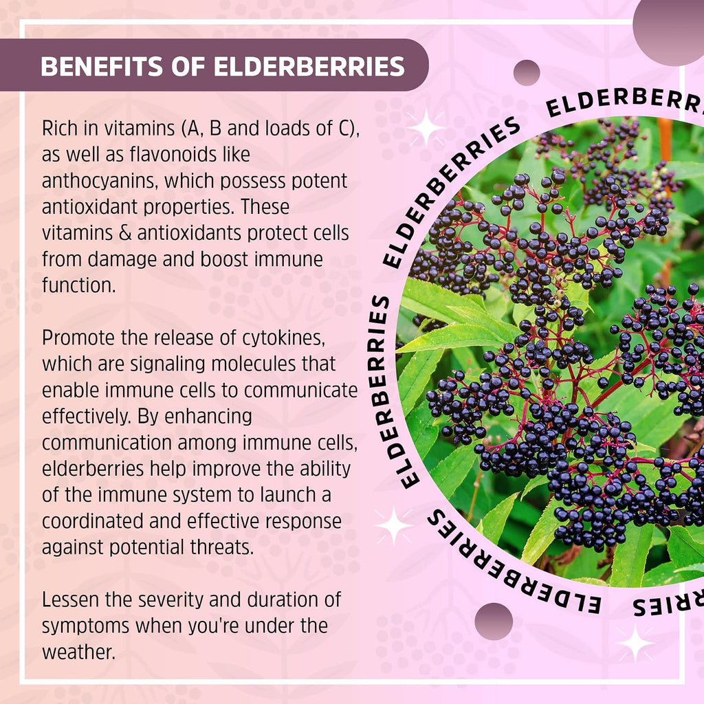 pure elderberry syrup with honey benefits