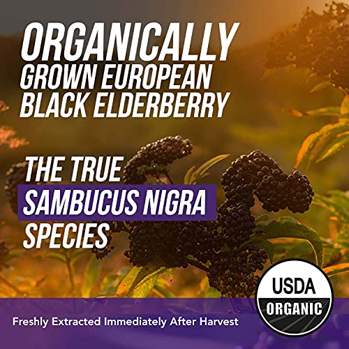 pure elderberry syrup with no additives