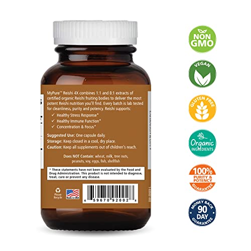 pure extract mushroom capsules